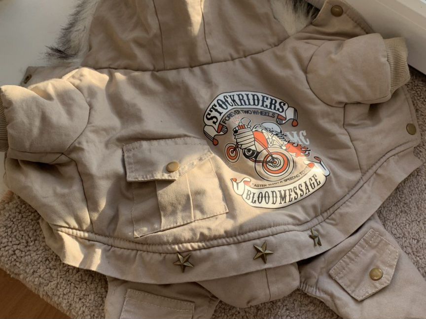 Комбинезон для маленькой собаки