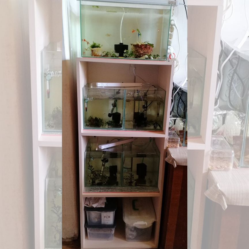 Аквариумная стойка