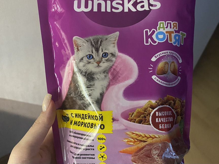 Корм для котят
