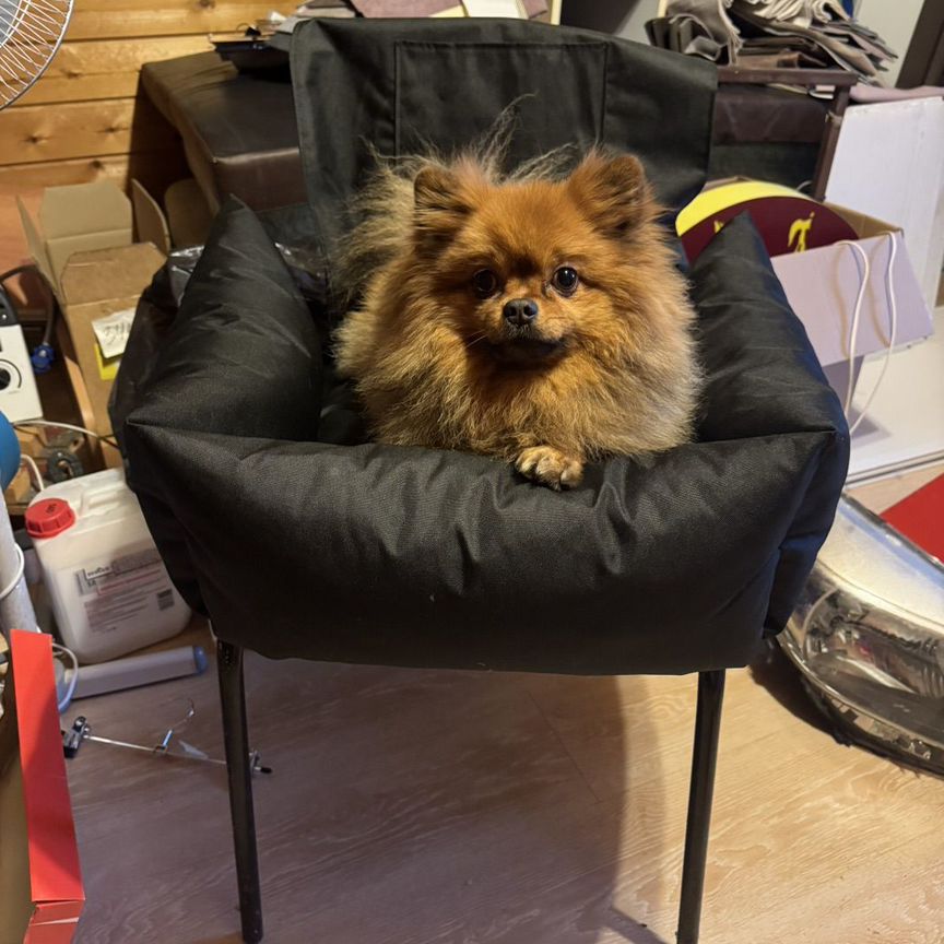 Автокресло для собак