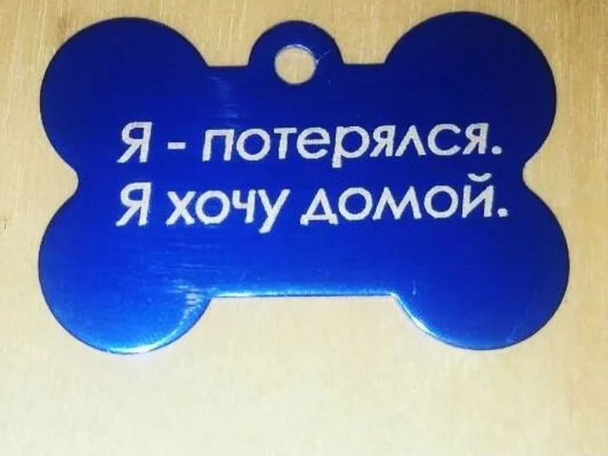 Адресники для собак