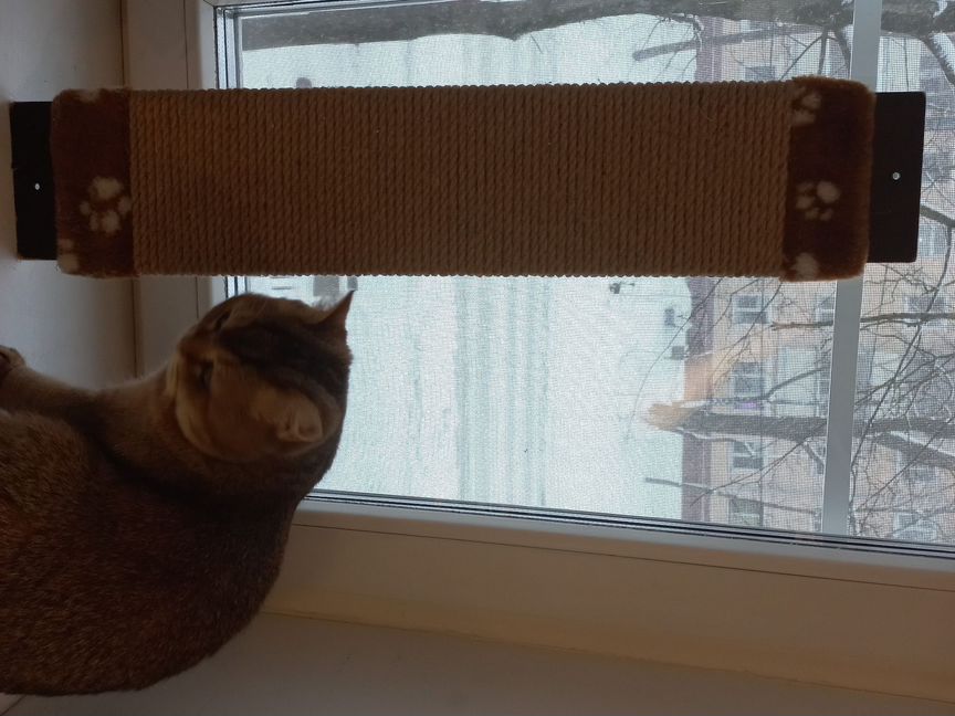 Когтеточка для кошки новая джутовая