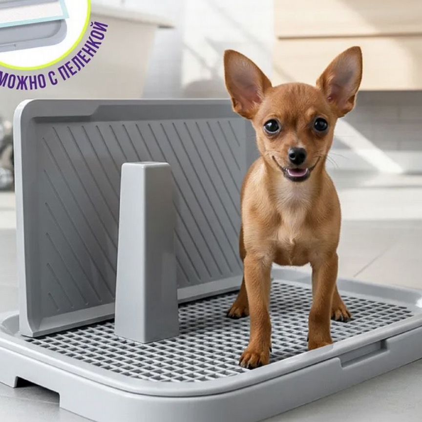 Лоток для собак