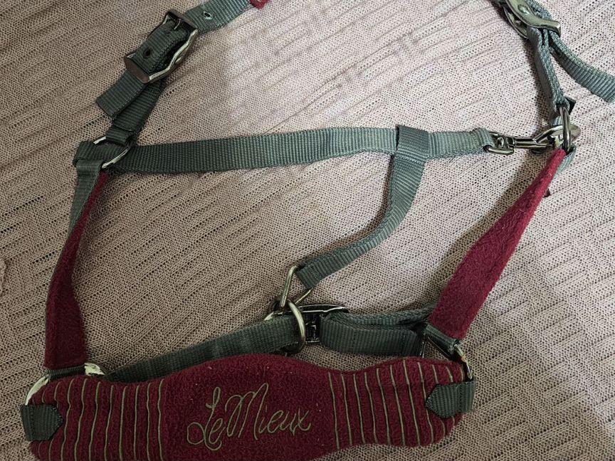 Недоуздок, ногавки, бинты для лошади