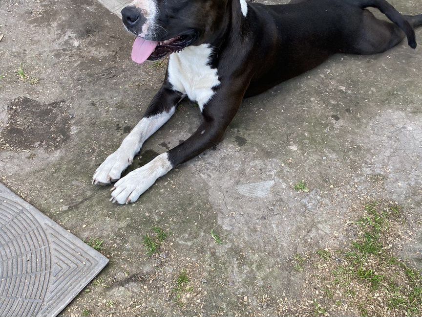 Вязка стаффа