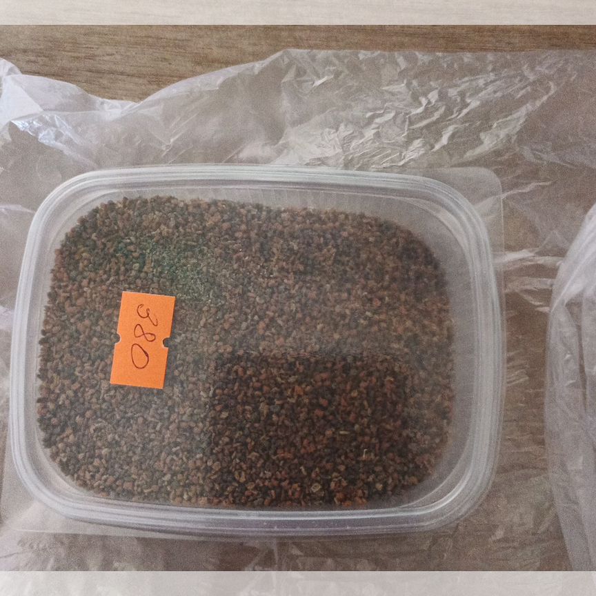 Корм для рыб