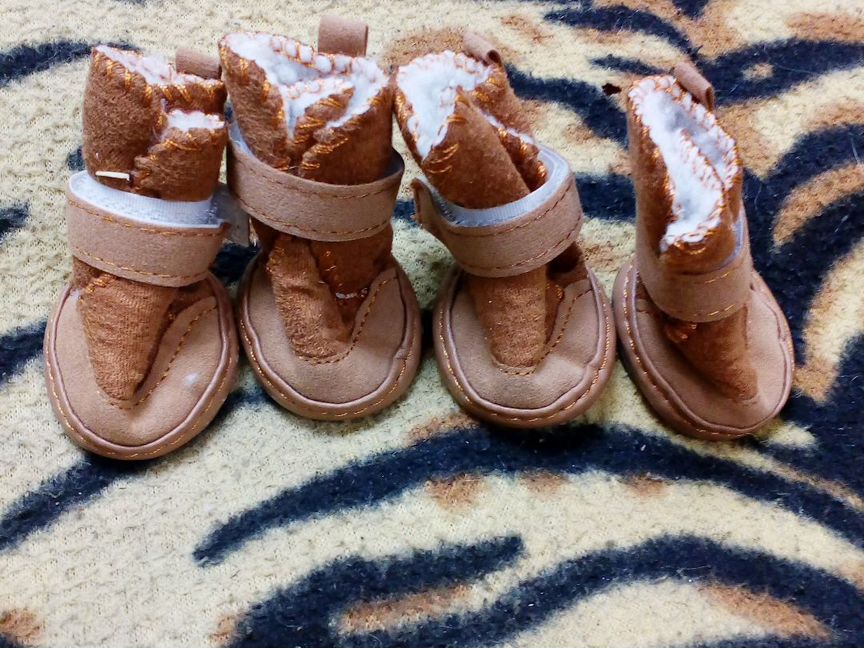 Ботинки для декоративных собачек