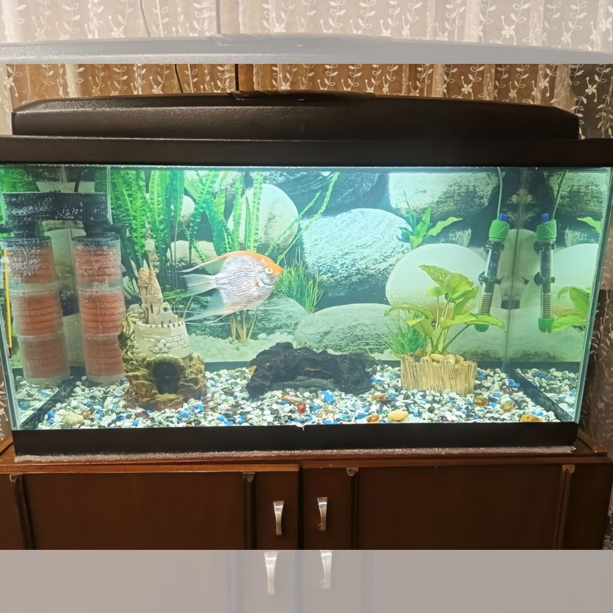 Продам аквариумы