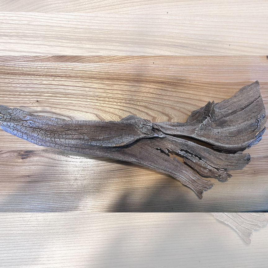 Мандровая коряга аквариум