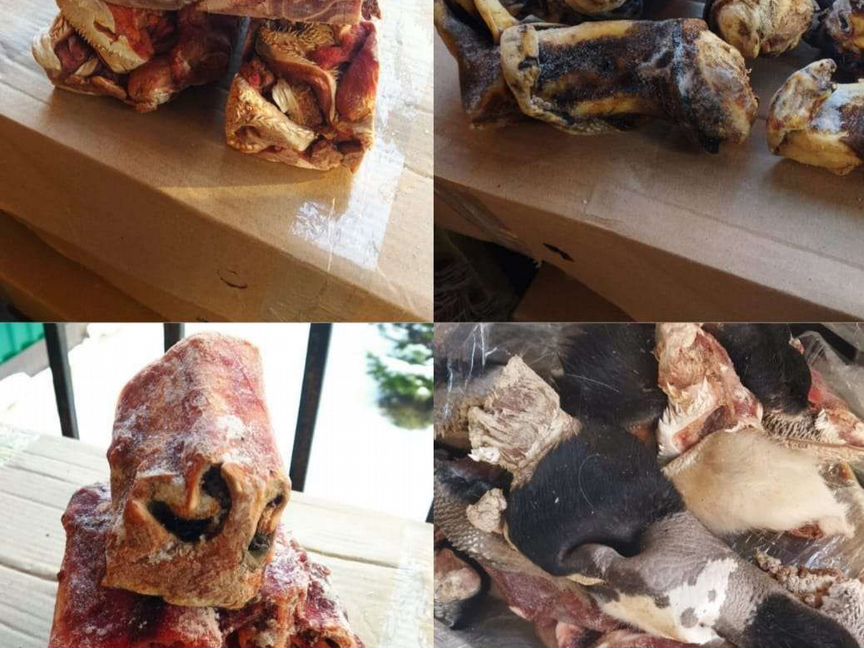 Мясо для собак (губы, щётка, носы,печень, обрезь.)