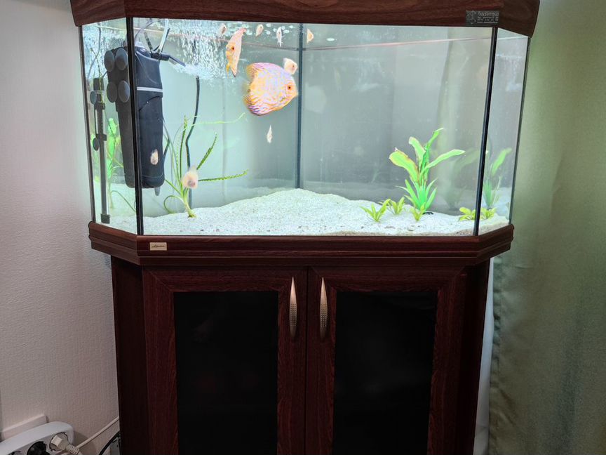 Аквариум с тумбой 150л