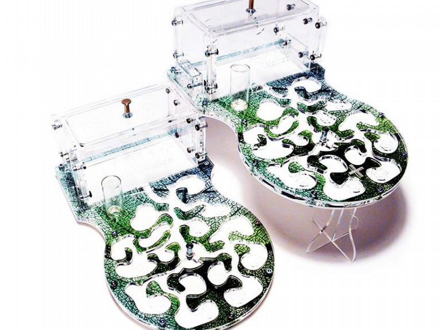 Муравьиная ферма почти новая