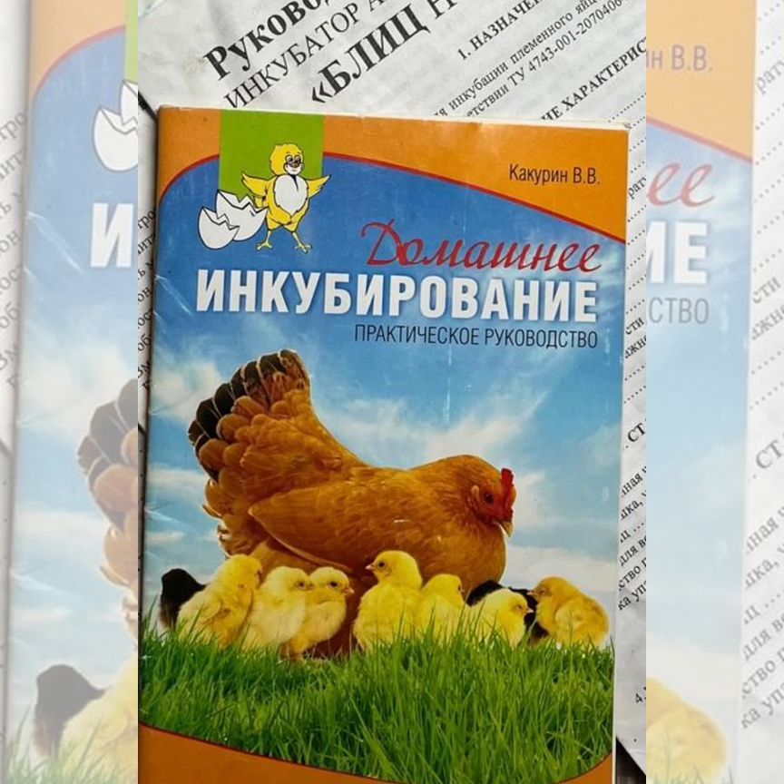 Инкубатор Блиц Норма 72 яйца
