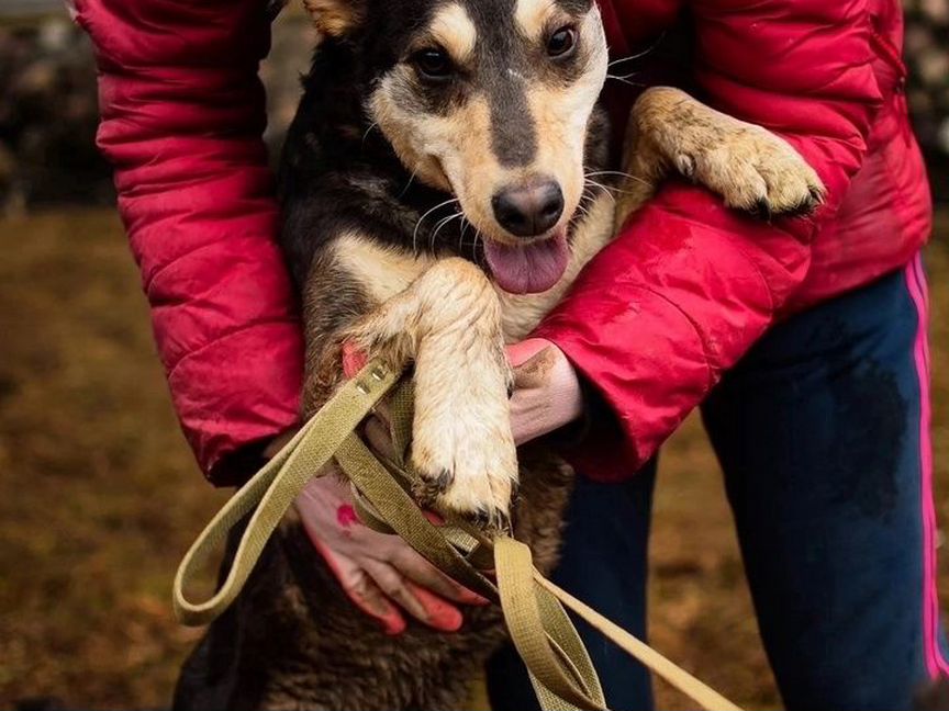 Малыш кубик