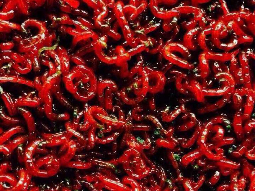 Малинка,мотыль