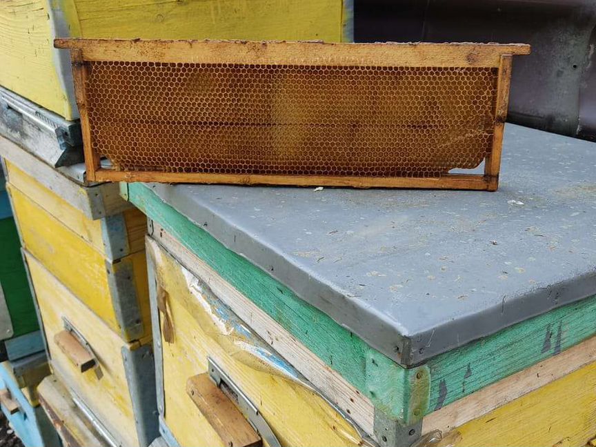 Рамки для ульев магазинные с сушью