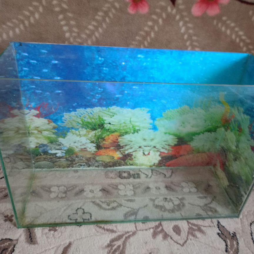 Аквариум