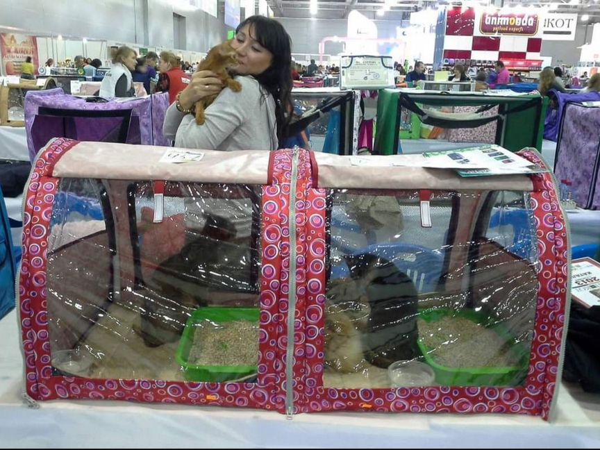 Палатки для кошек для выставки