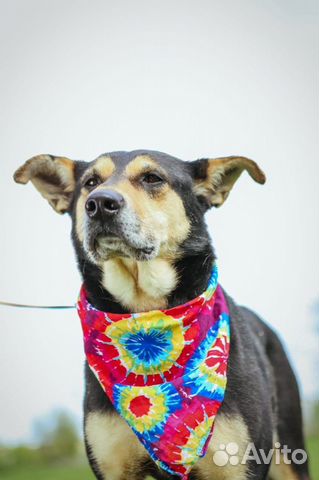 Не оторваться от взгляда