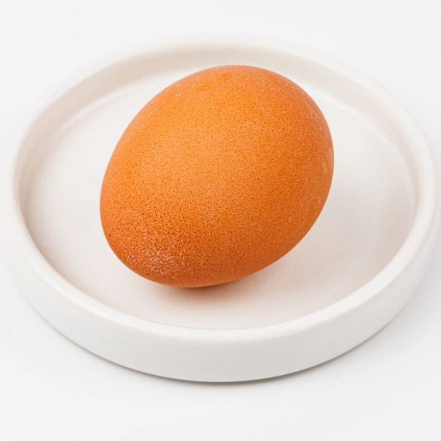 Инкубационные яйца брама