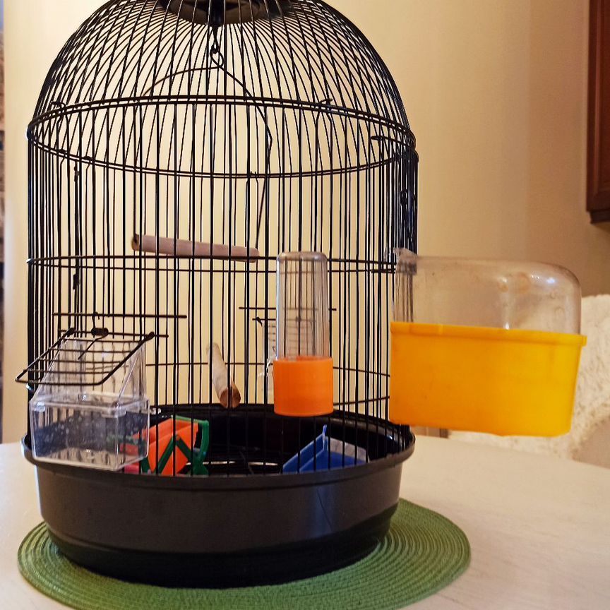 Клетка с попугаем