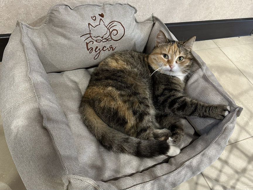 Лежанка для животных