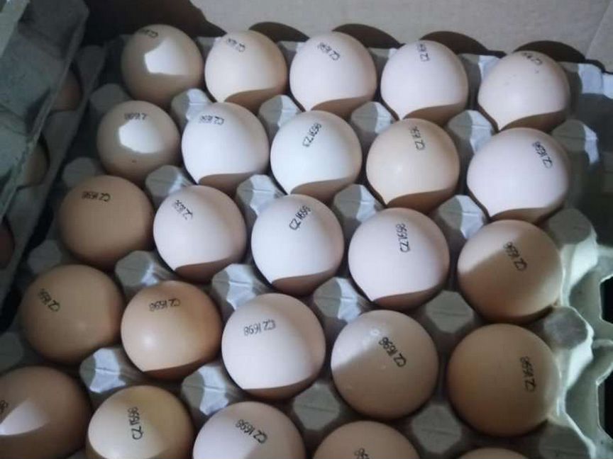 Инкубационное яйцо бройлера