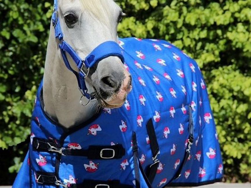 Попона для пони прогулочная 200 г