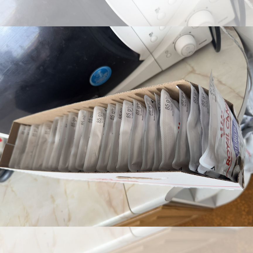 Влажный корм для кошек 28 шт royal canin желе
