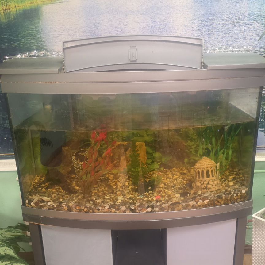 Аквариум