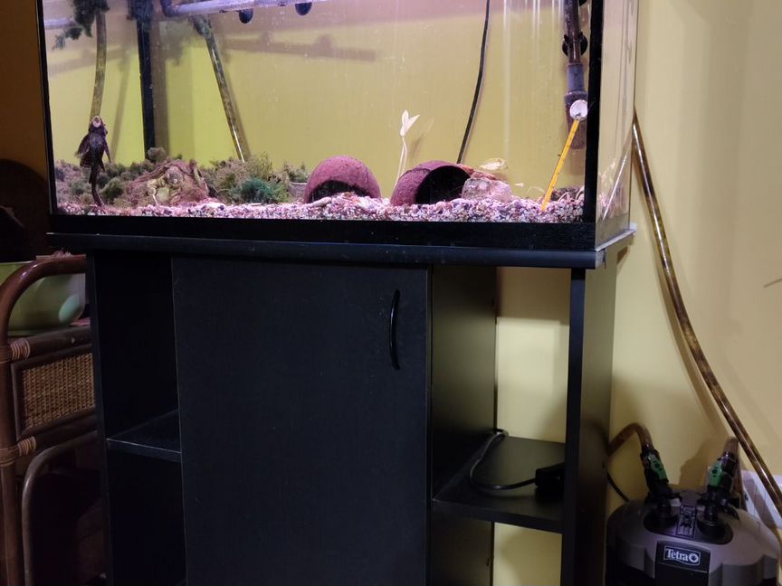 Аквариум с тумбой 120 литров + фильтр Tetra EX 700