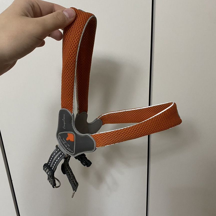 Шлейка для средней собаки coralpina