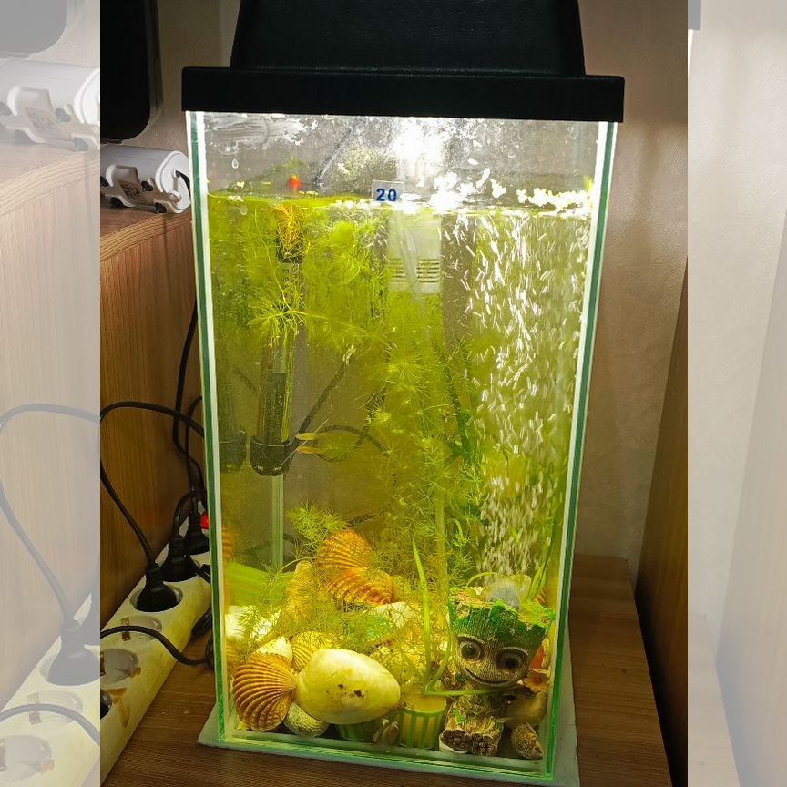 Аквариум для рыбок бу