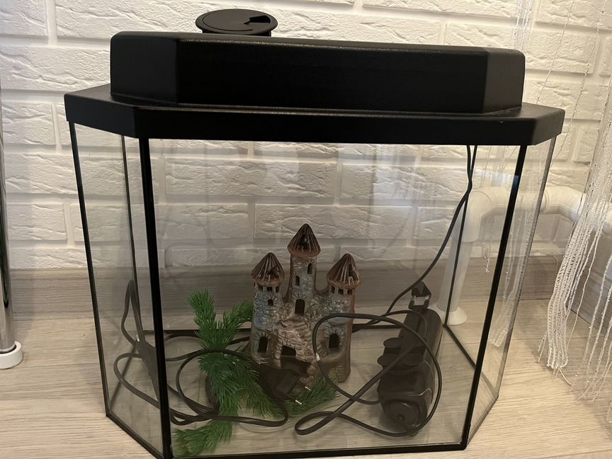 Фильтр для аквариума, аквариум