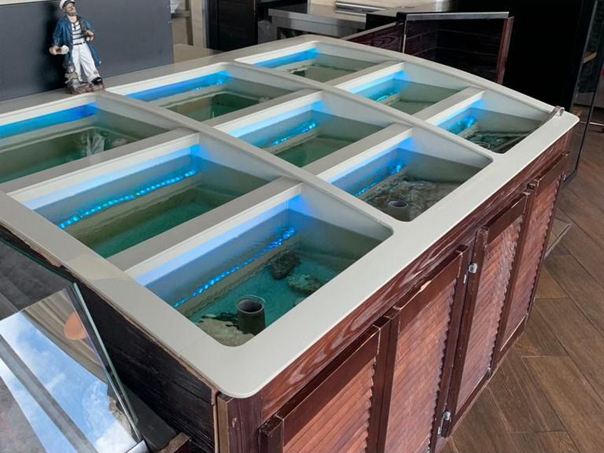 Аквариум для устриц секциями