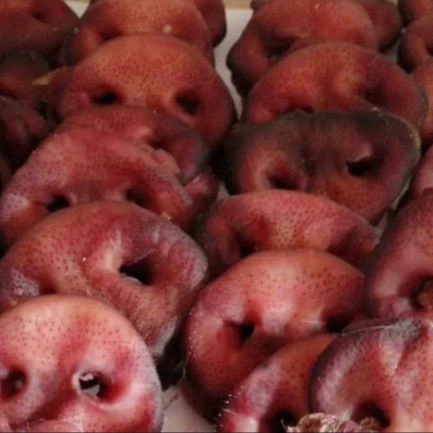 Пяточки свиные сушёные лакомство для собак