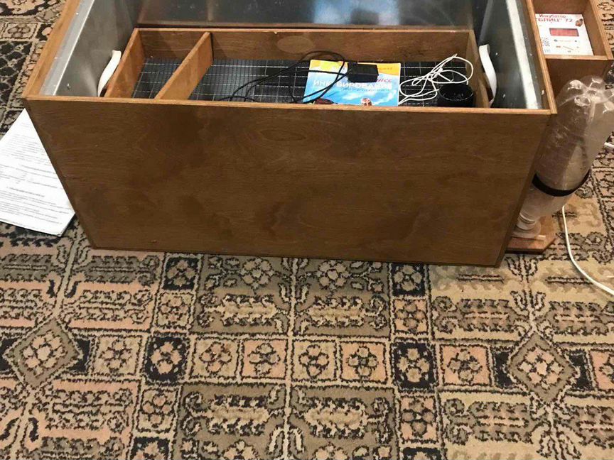 Инкубатор для яиц блиц-72