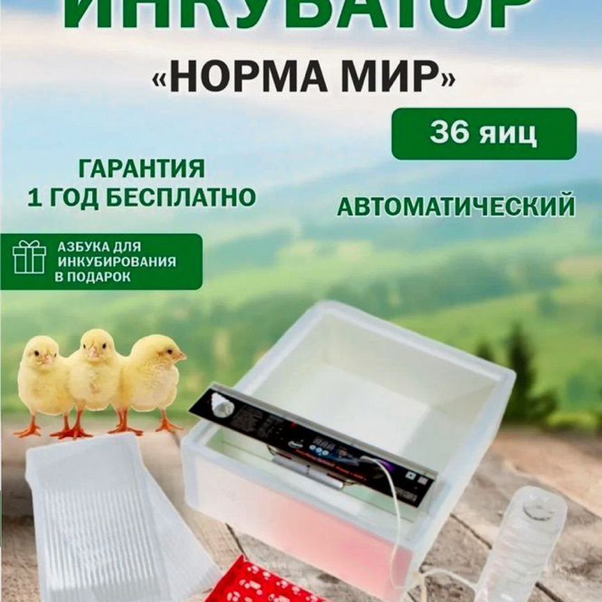 Инкубатор Норма Мир
