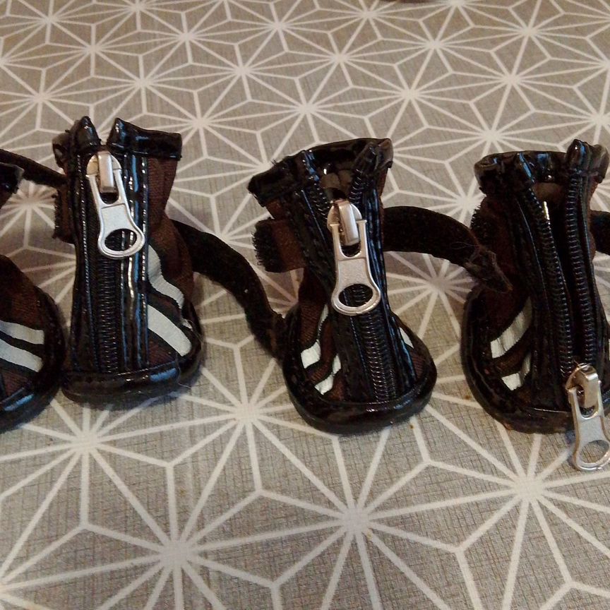 Башмачки для мини собачек