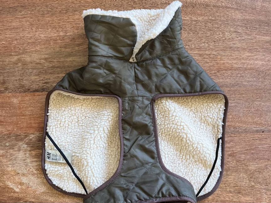 Одежда для собак H&M