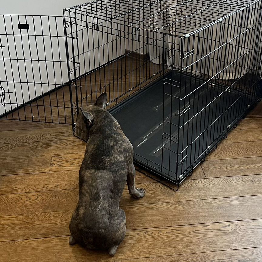 Большая металлическая клетка для собаки 110х80х70