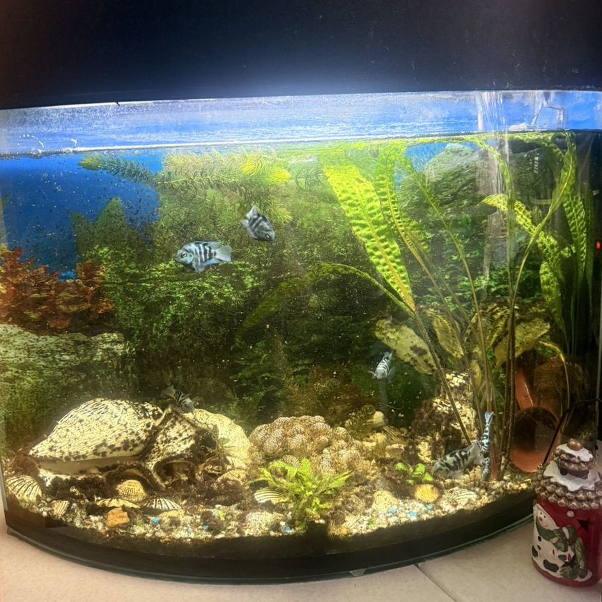 Продаются два аквариума 20 л и 75 л