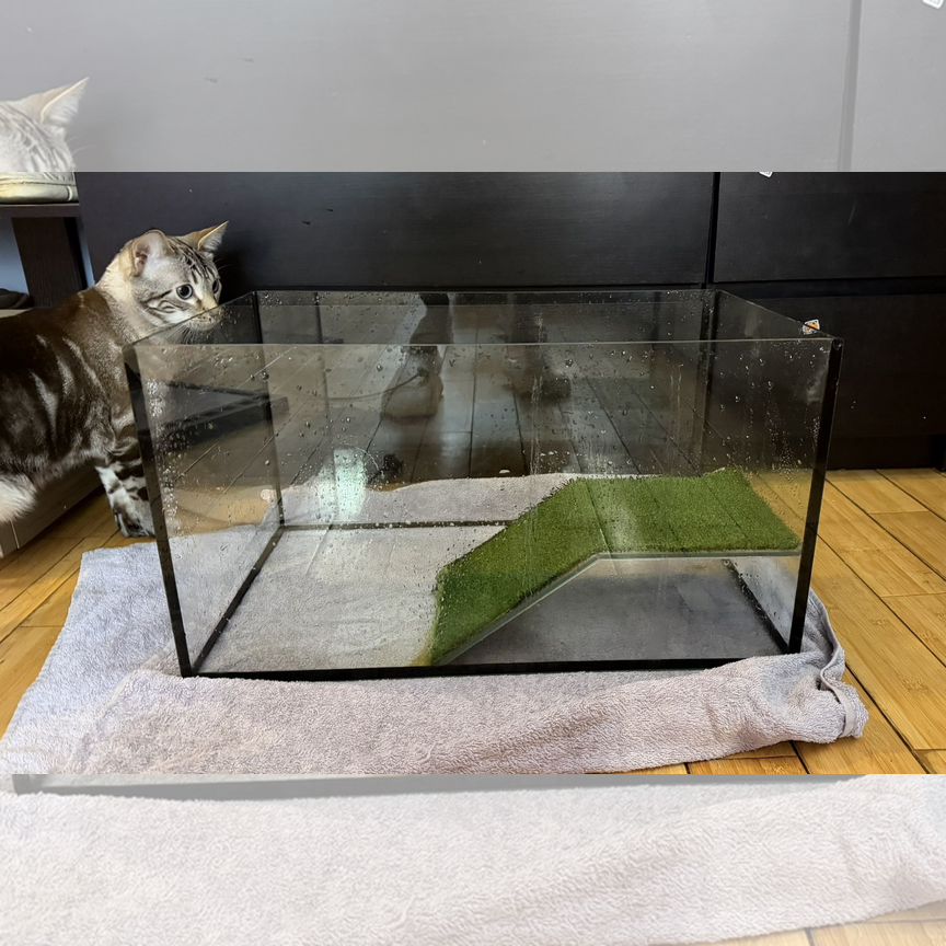 Аквариум на 50 литров