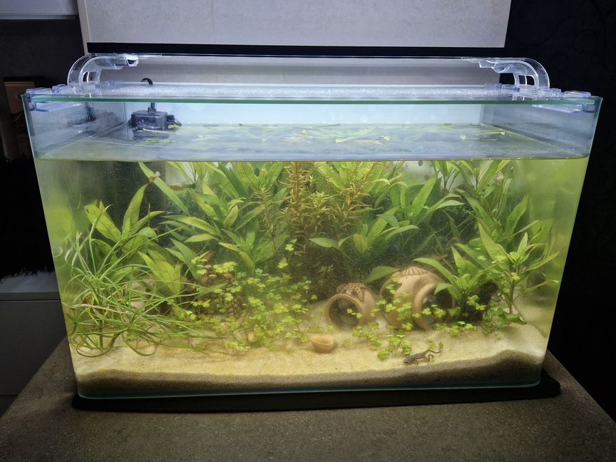 Аквариум Prime 39л, фильтр, свет, питомцы