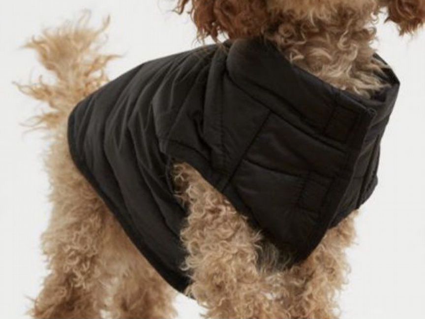 Курточка H&M для собачки