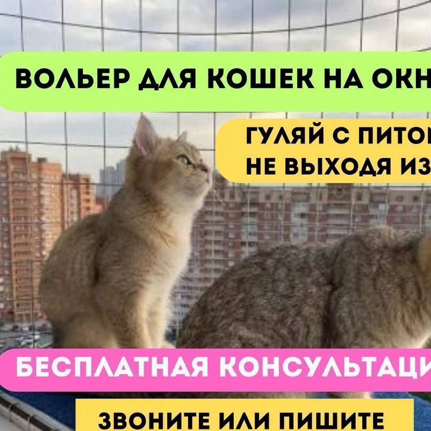Вольер для кошек на окна