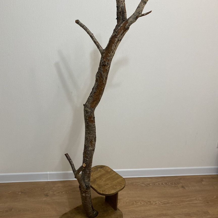 Когтеточка-дерево для кошек