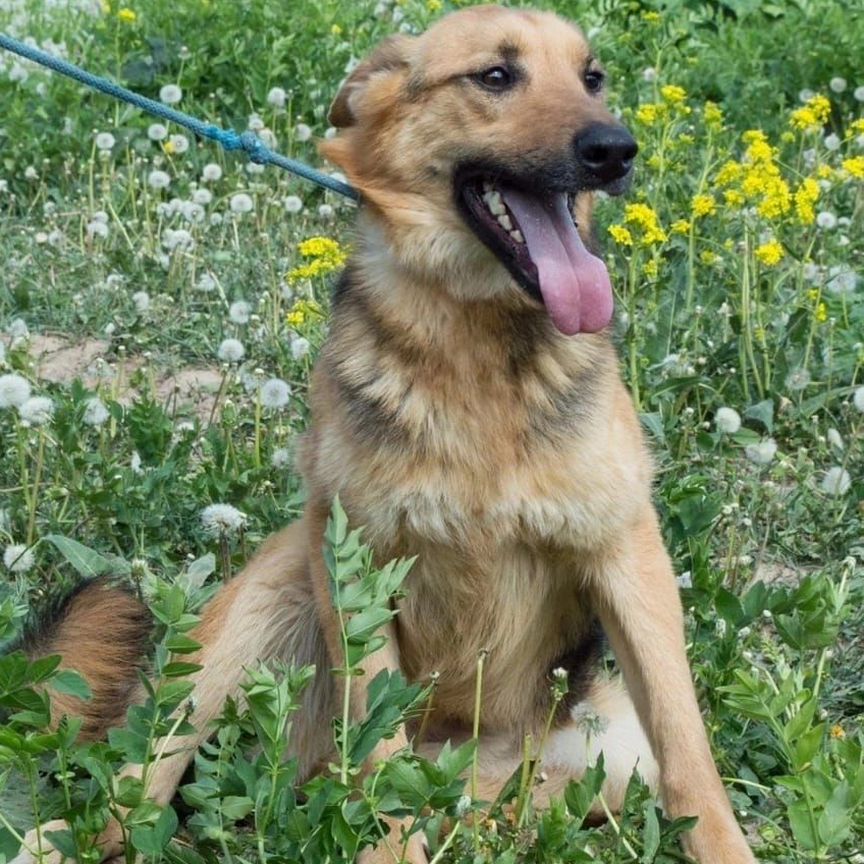 Круз
