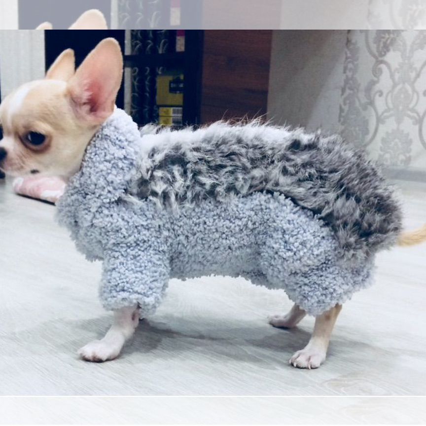 Одежда для собак