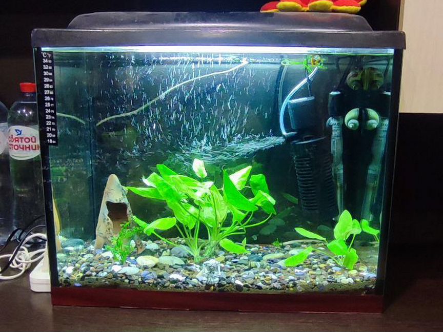 Аквариум в полной комплектации 60л
